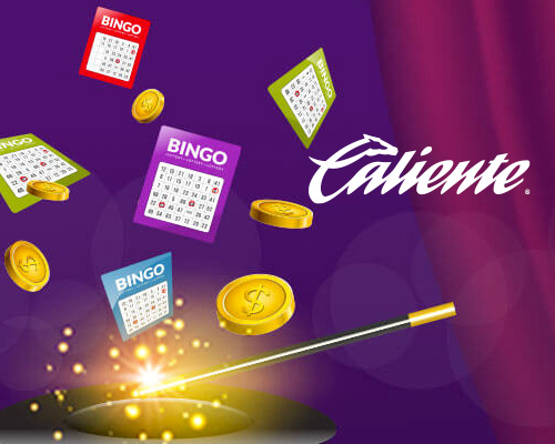 Caliente Bingo | Consigue la versión que más disfrutes